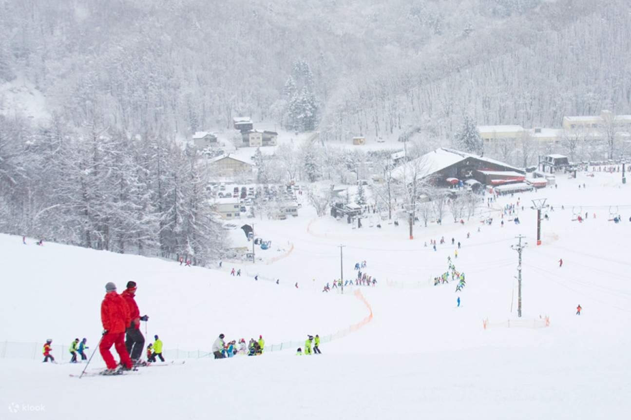 Sapporo Kokusai Ski Resort Day Trip | Includes round-trip transportation from Sapporo city, ski ...